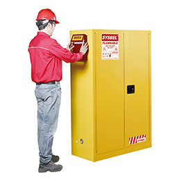Buy SYSBEL WAB001 SDS Safety data sheets Box for Cabinets Online in ...